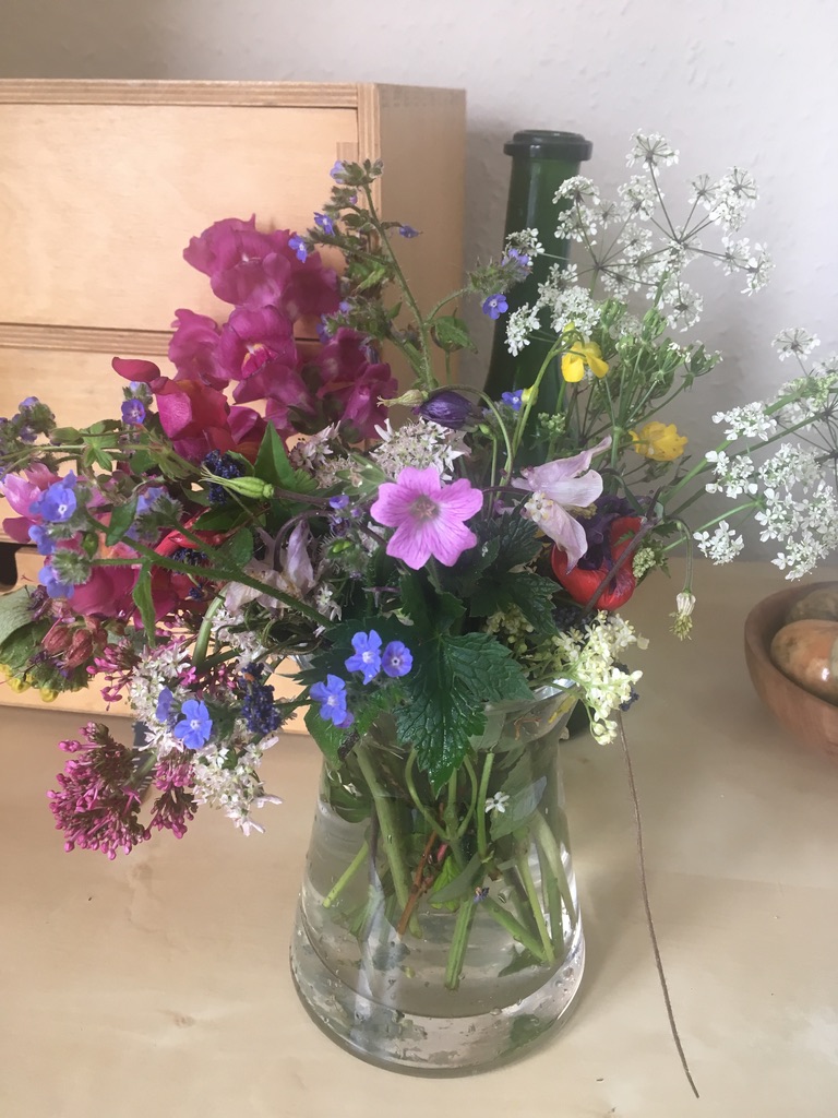 A Garden is an economy: the right to root – signsofanopencity